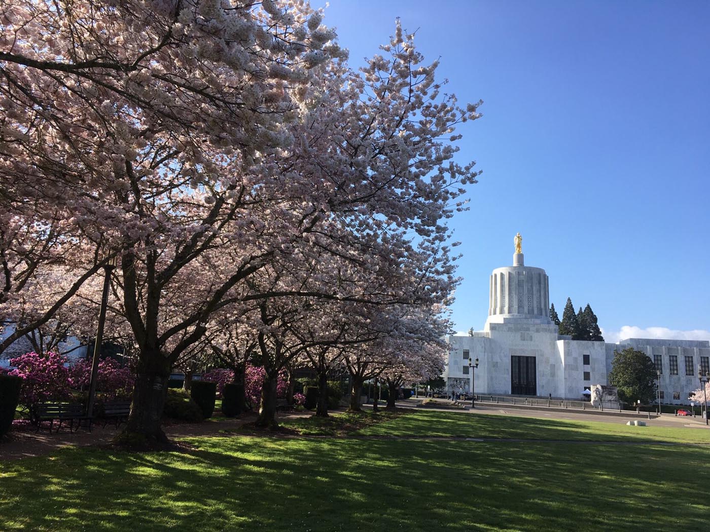 Oregon House OKs coal divestment plan | Lake Oswego Review