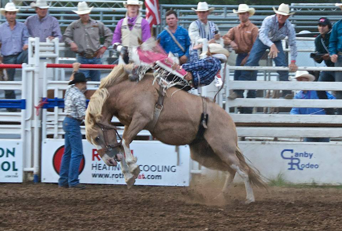 Fair & Rodeo: Get ready for a good time in Canby | Lake Oswego Review
